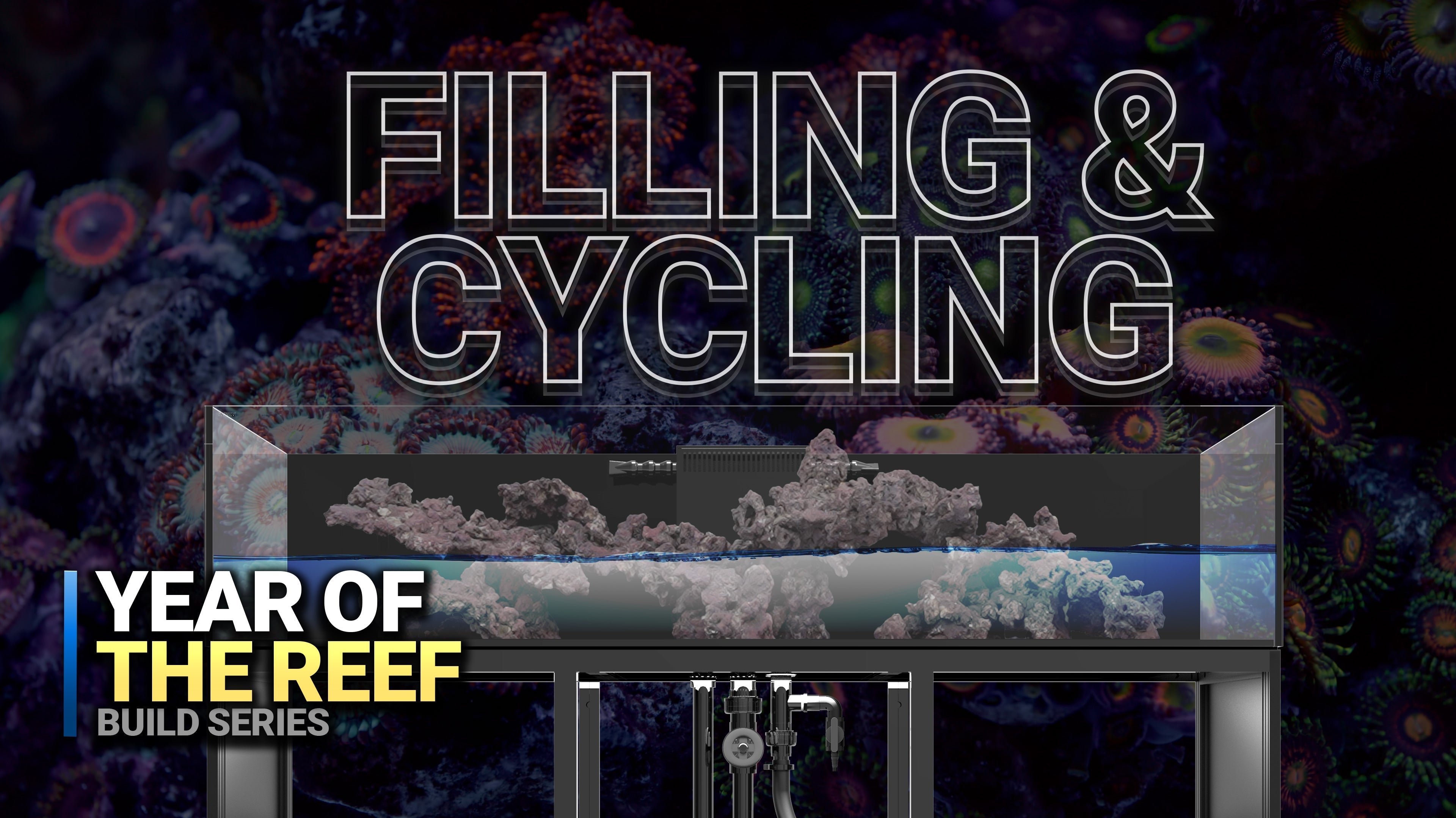 9. The TRUTH About Reef Salt & Aquarium Cycling! – Waterbox Aquariums