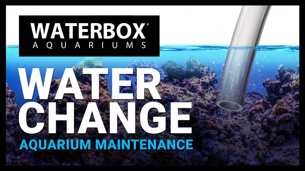 EP06 Substrate, Rock Selection and Aquascaping | A Guide to Large Reef ...