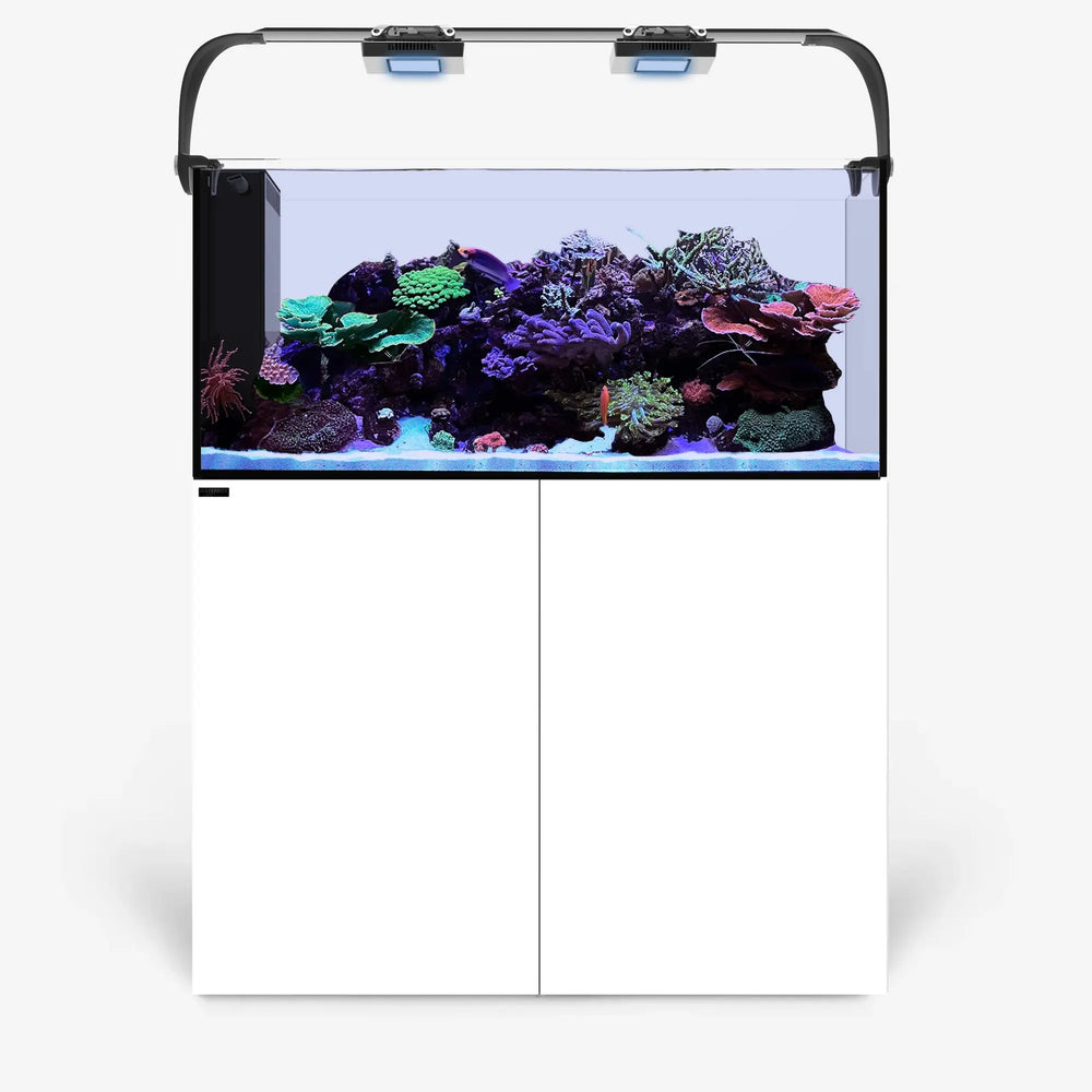 PENINSULA Saltwater Room Divider Aquariums