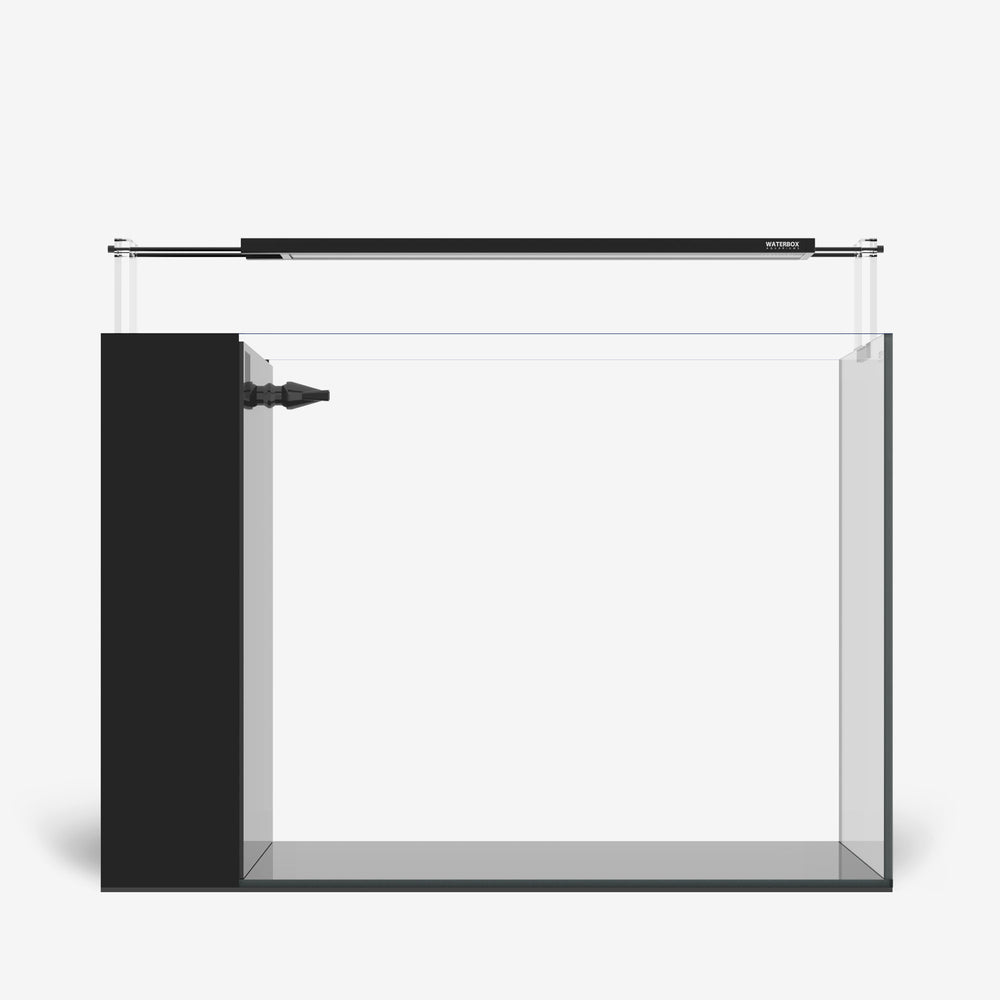 Waterbox Aquariums - Freshwater and Saltwater Aquarium Systems