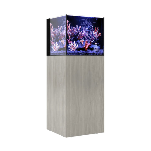 AIO 20 CUBE – Waterbox Aquariums