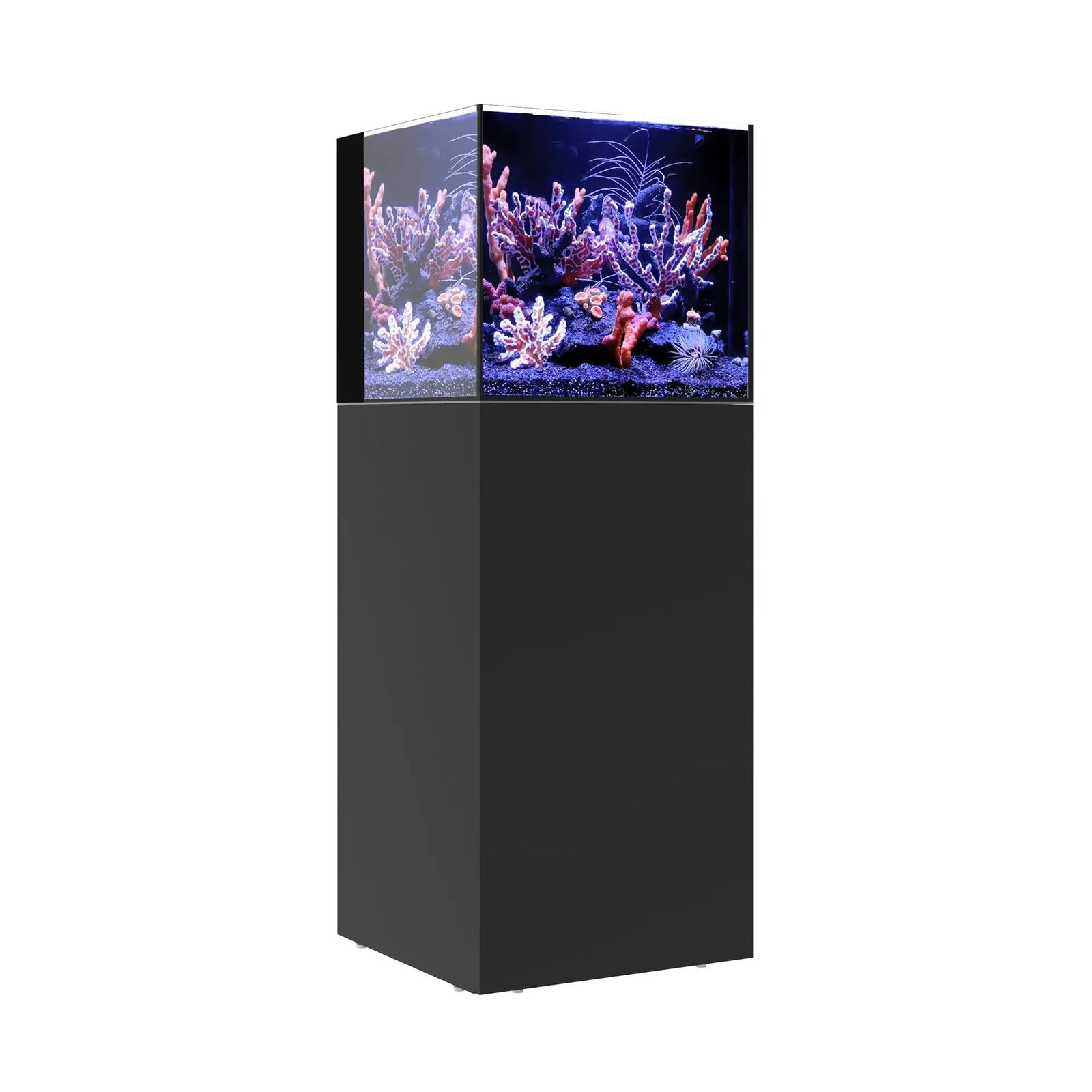 AIO 20 CUBE – Waterbox Aquariums