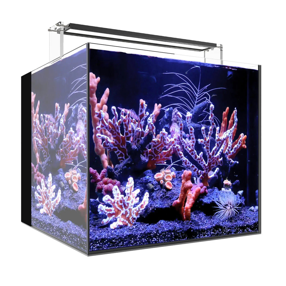 AIO 20 CUBE – Waterbox Aquariums
