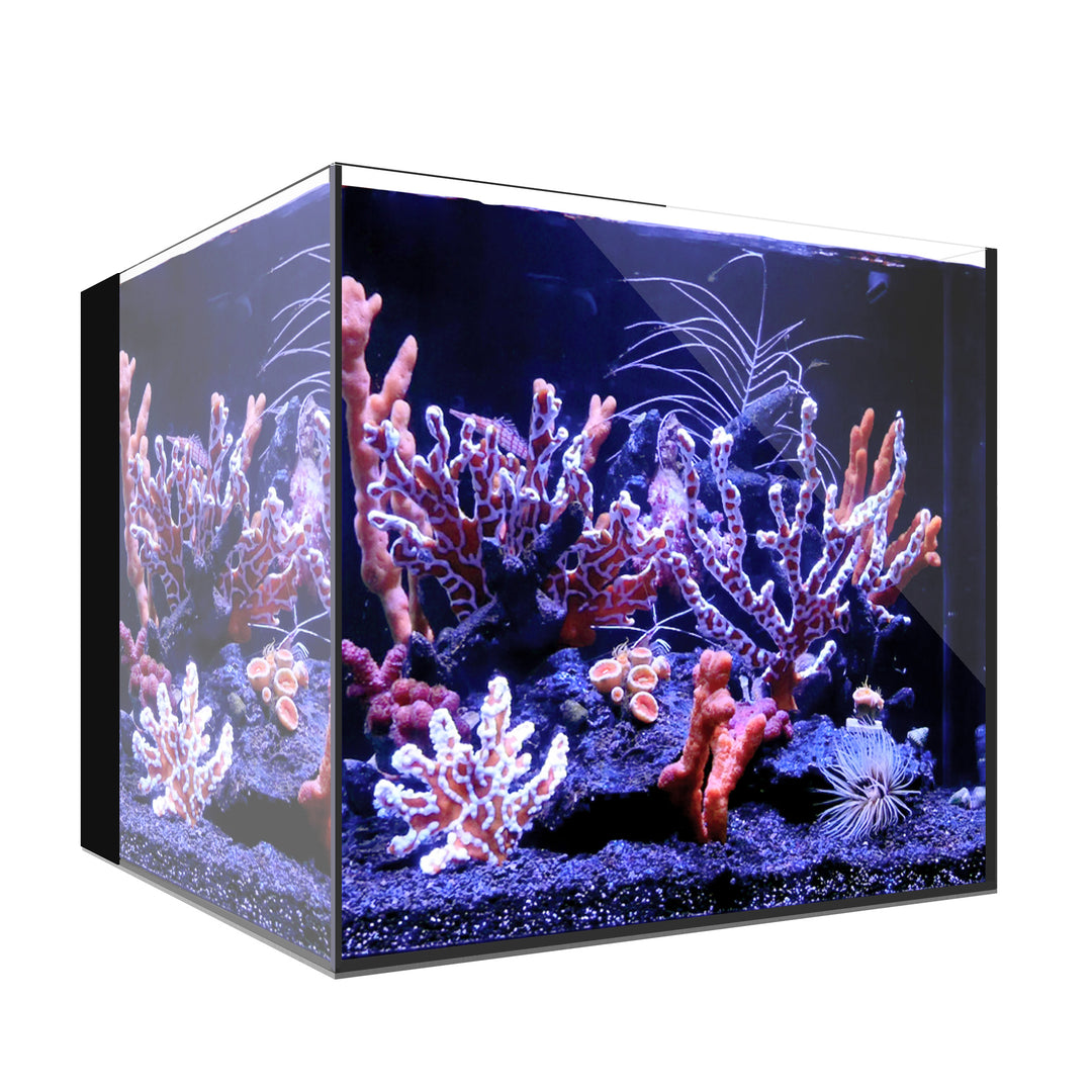 Aquariums - Saltwater Aquariums, Freshwater Aquariums – Waterbox Aquariums