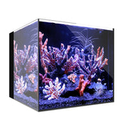 AIO - All In One Waterbox Aquariums®