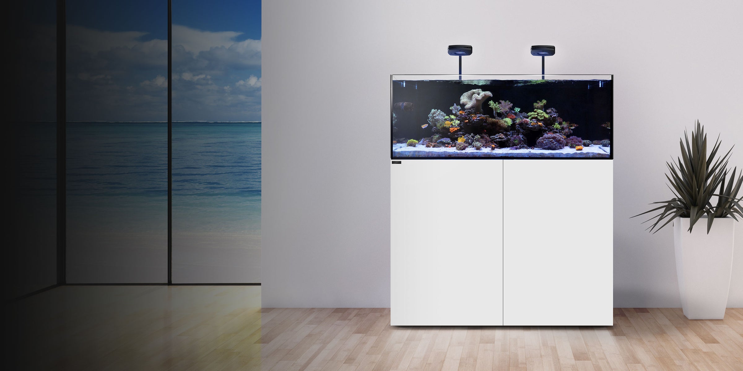 AIO Tanks | Affordable Aquaria