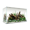 CLEAR MINI – Waterbox Aquariums