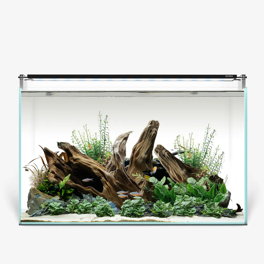 CLEAR Aquascaping Freshwater Aquariums