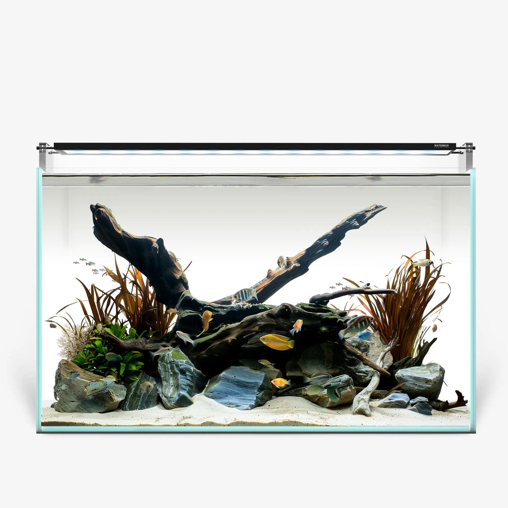CLEAR MINI