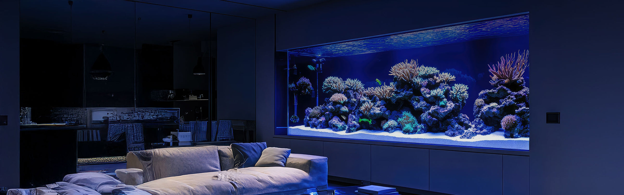 Custom Waterbox Aquariums®