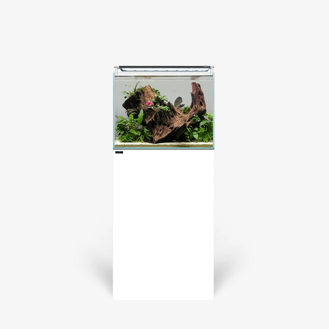 CLEAR Aquascaping Freshwater Aquariums
