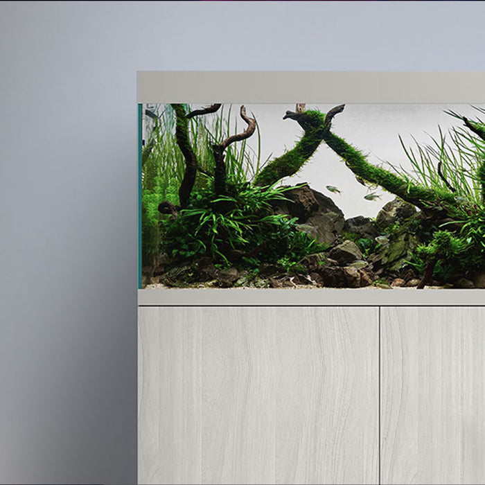 Waterbox Aquariums - Freshwater and Saltwater Aquarium Systems