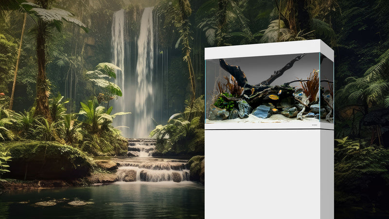 Waterbox Aquariums - Freshwater and Saltwater Aquarium Systems