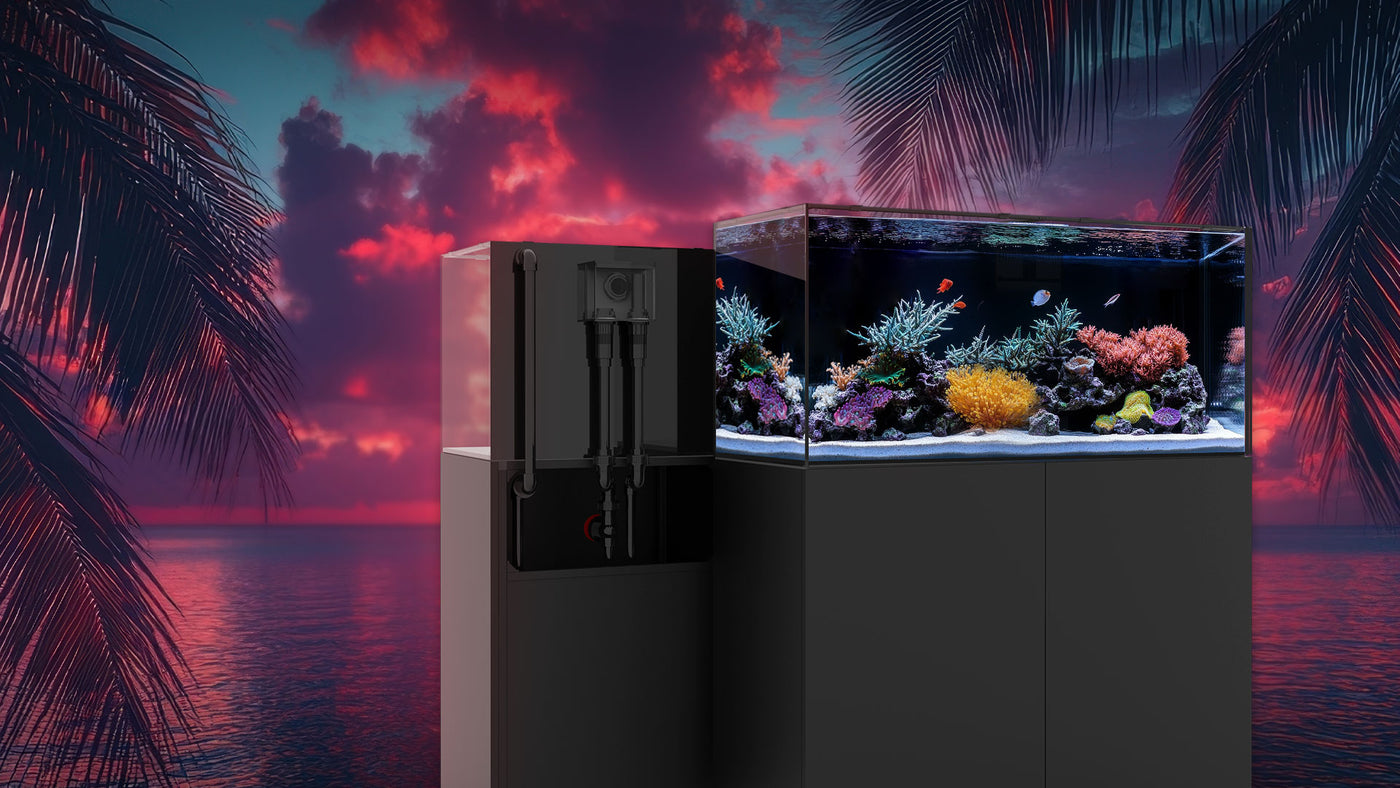 Waterbox Aquariums - Freshwater and Saltwater Aquarium Systems
