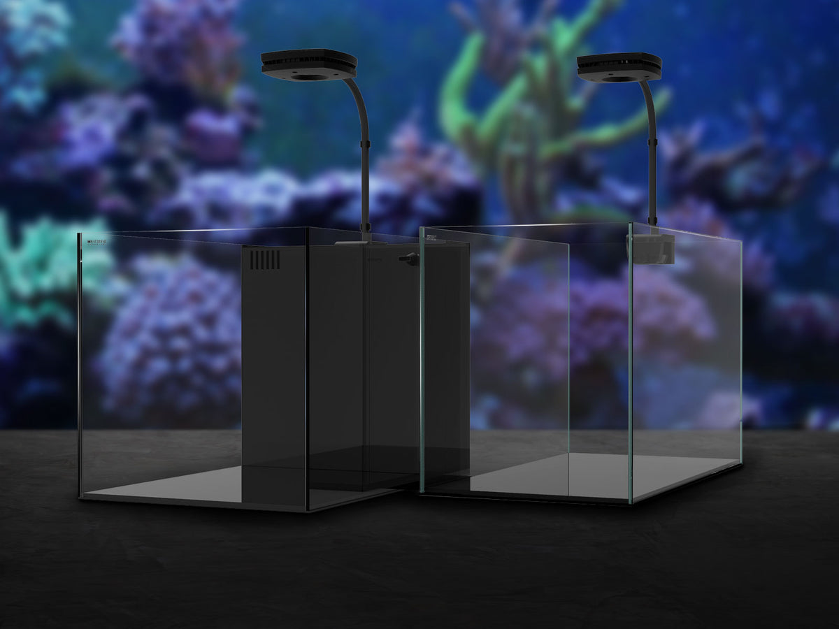 A guide to desktop aquariums