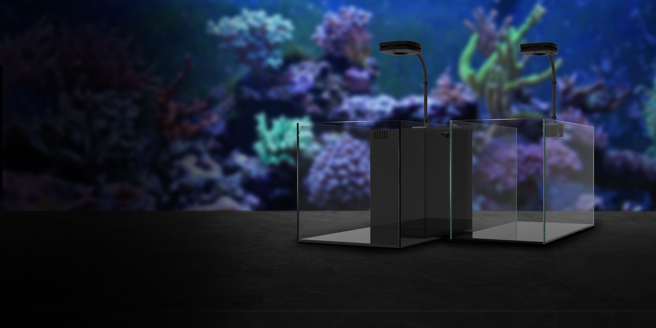 A guide to desktop aquariums