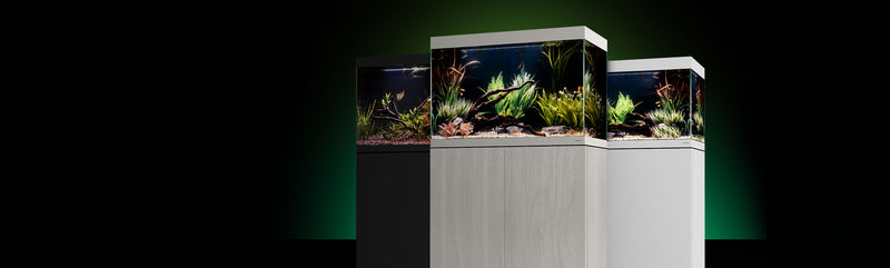 Waterbox Aquariums - Freshwater and Saltwater Aquarium Systems