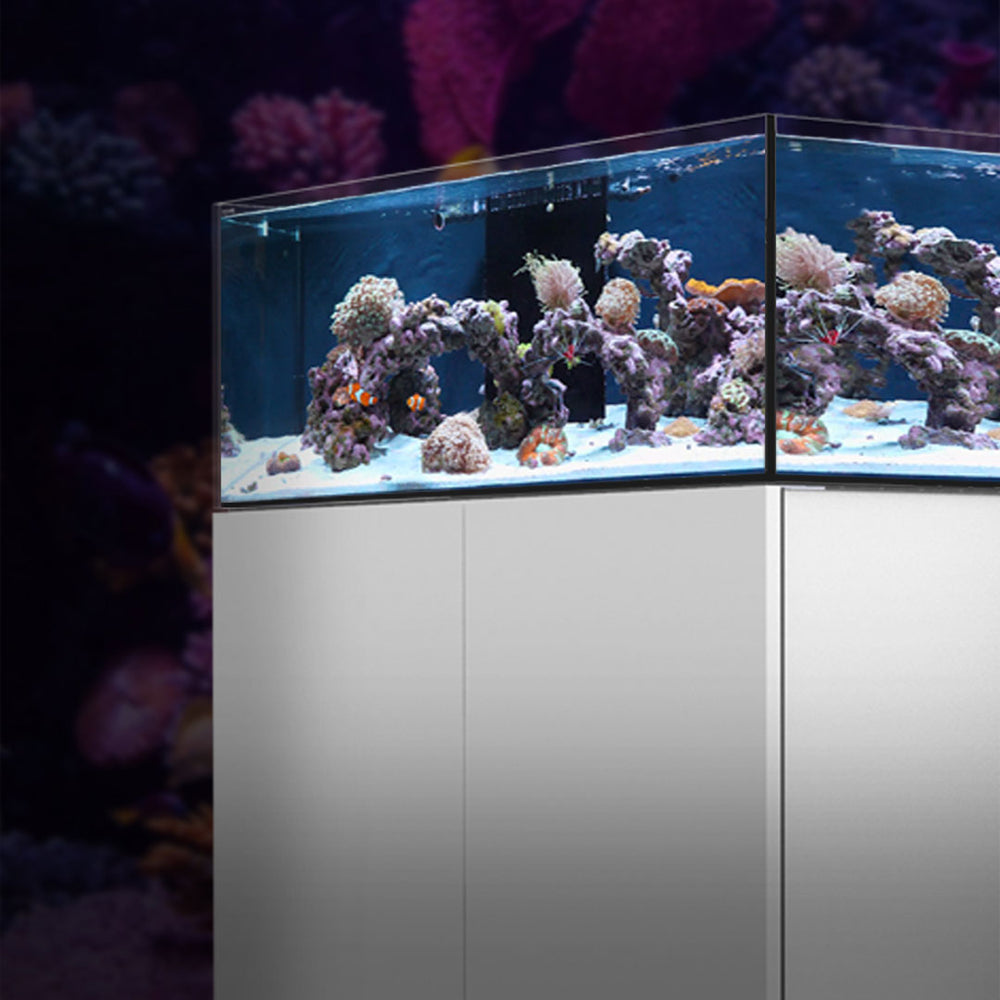 Waterbox Aquariums - Freshwater and Saltwater Aquarium Systems