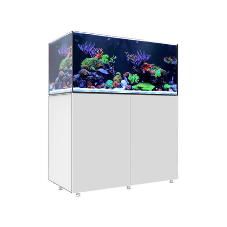 Waterbox Aquariums - Freshwater and Saltwater Aquarium Systems