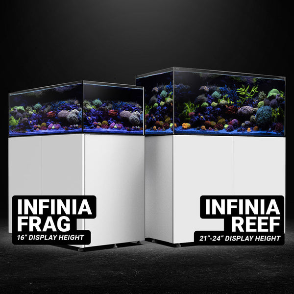 INFINIA Reef 230.6