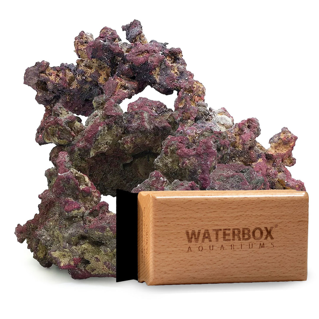 Waterbox Aquariums - Freshwater and Saltwater Aquarium Systems