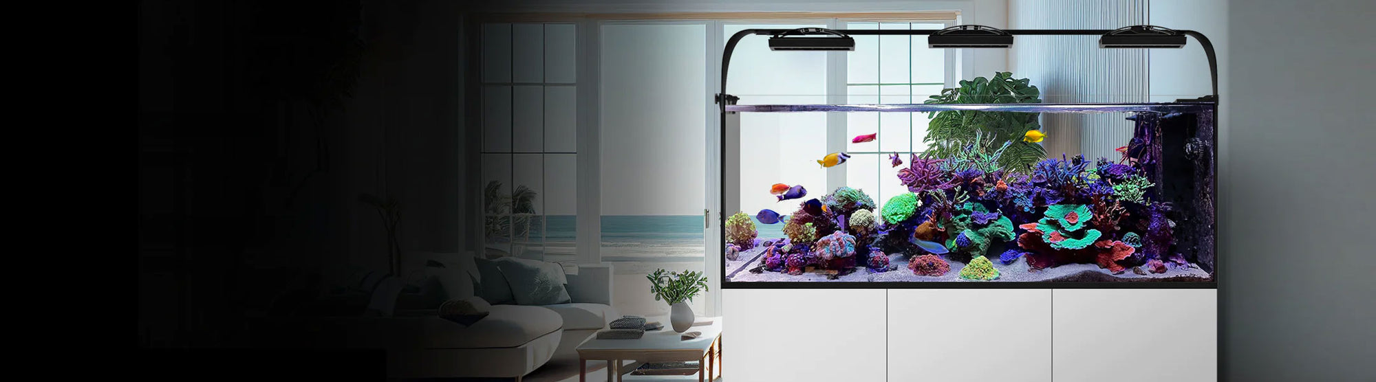 Waterbox Aquariums - Freshwater and Saltwater Aquarium Systems
