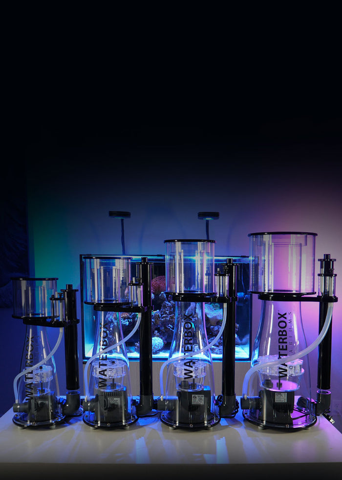Waterbox Aquariums - Freshwater and Saltwater Aquarium Systems