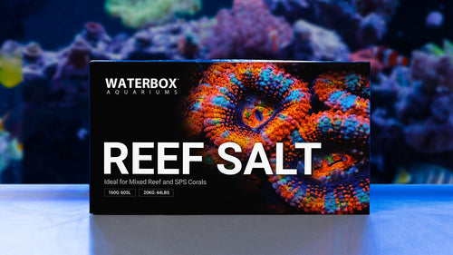 Waterbox Method Saltwater Mixed Reef – Waterbox Aquariums