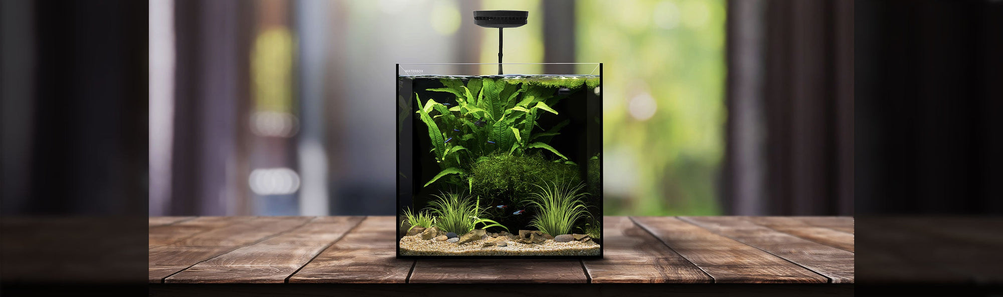 AIO 25 PENINSULA