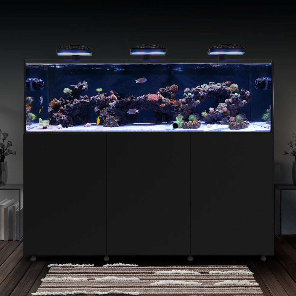 Waterbox Aquariums - Freshwater and Saltwater Aquarium Systems