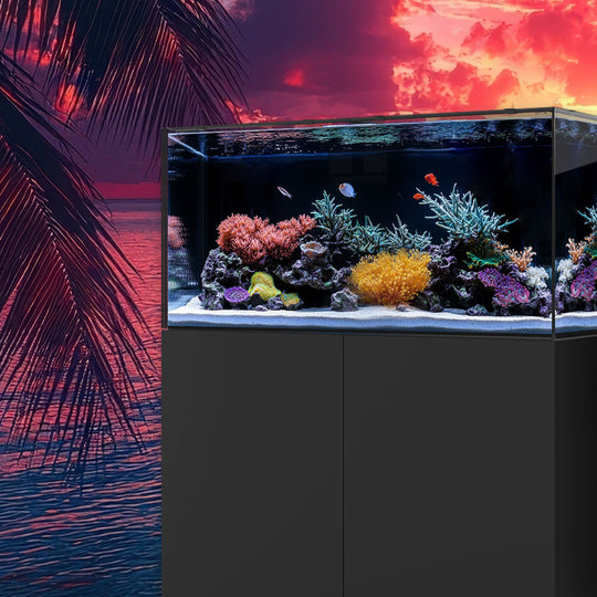 Waterbox Aquariums - Freshwater and Saltwater Aquarium Systems