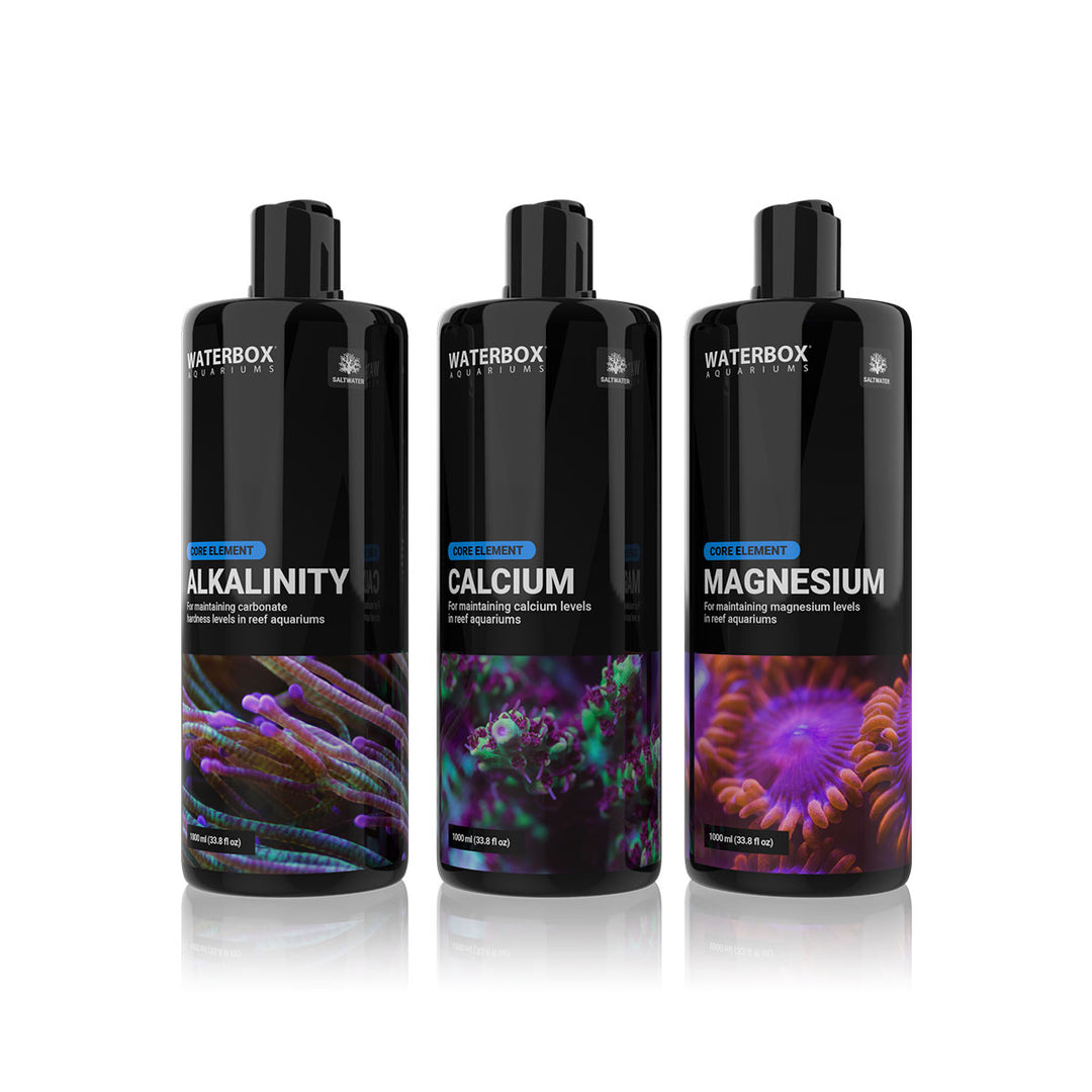 Saltwater Aquarium Supplies – Waterbox Aquariums