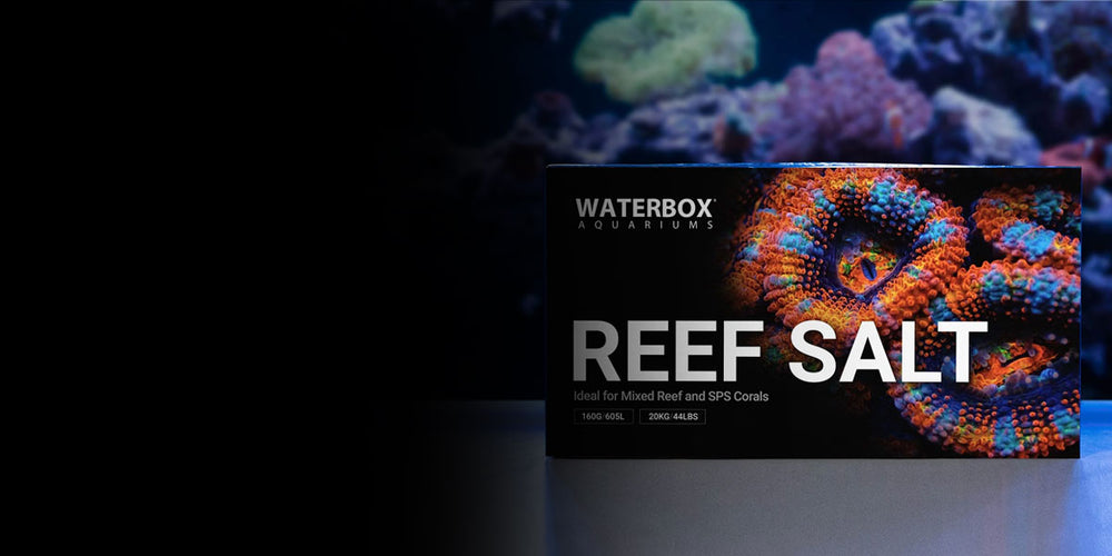 REEF SALT